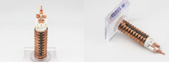 Flexible 0.6-1KV Mineral Insulated Cable Fire Resistant RTTZ 3×16